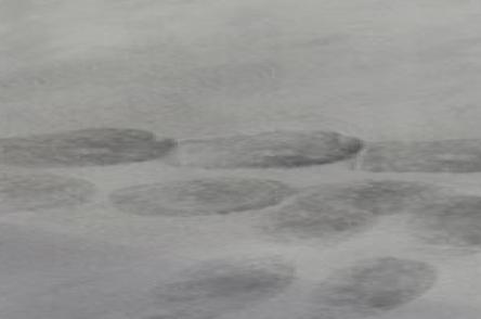 Court Brief QP9 | QPS